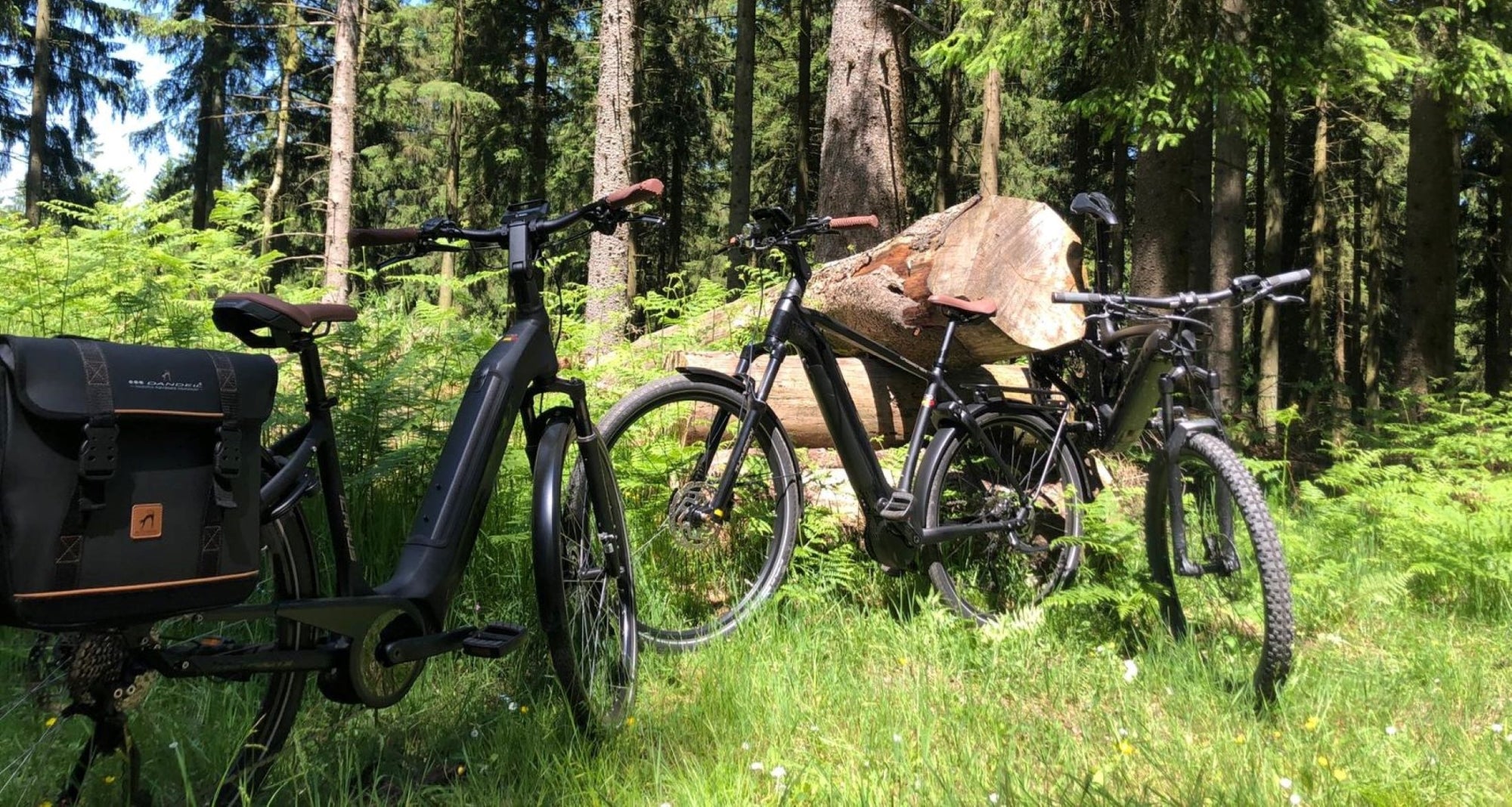 Electric Bikes from Thompson – Torque Electric